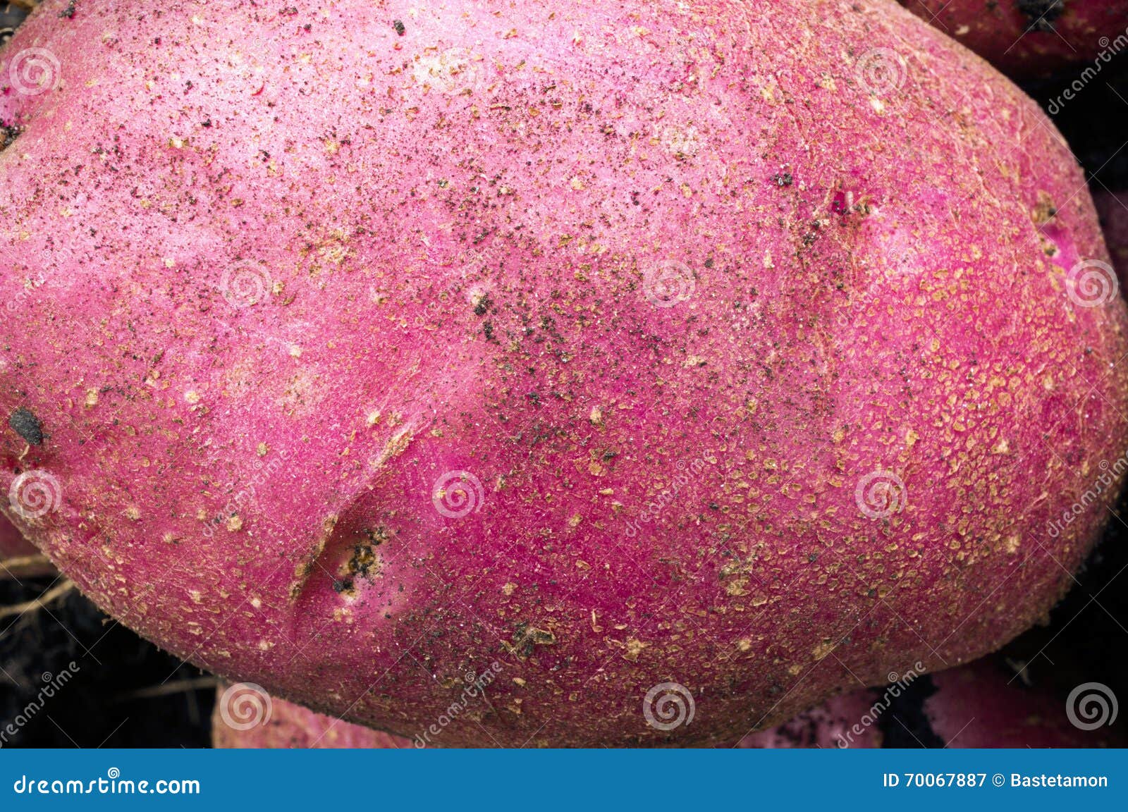Potato texture stock image. Image of backdrop, nourishment - 70067887