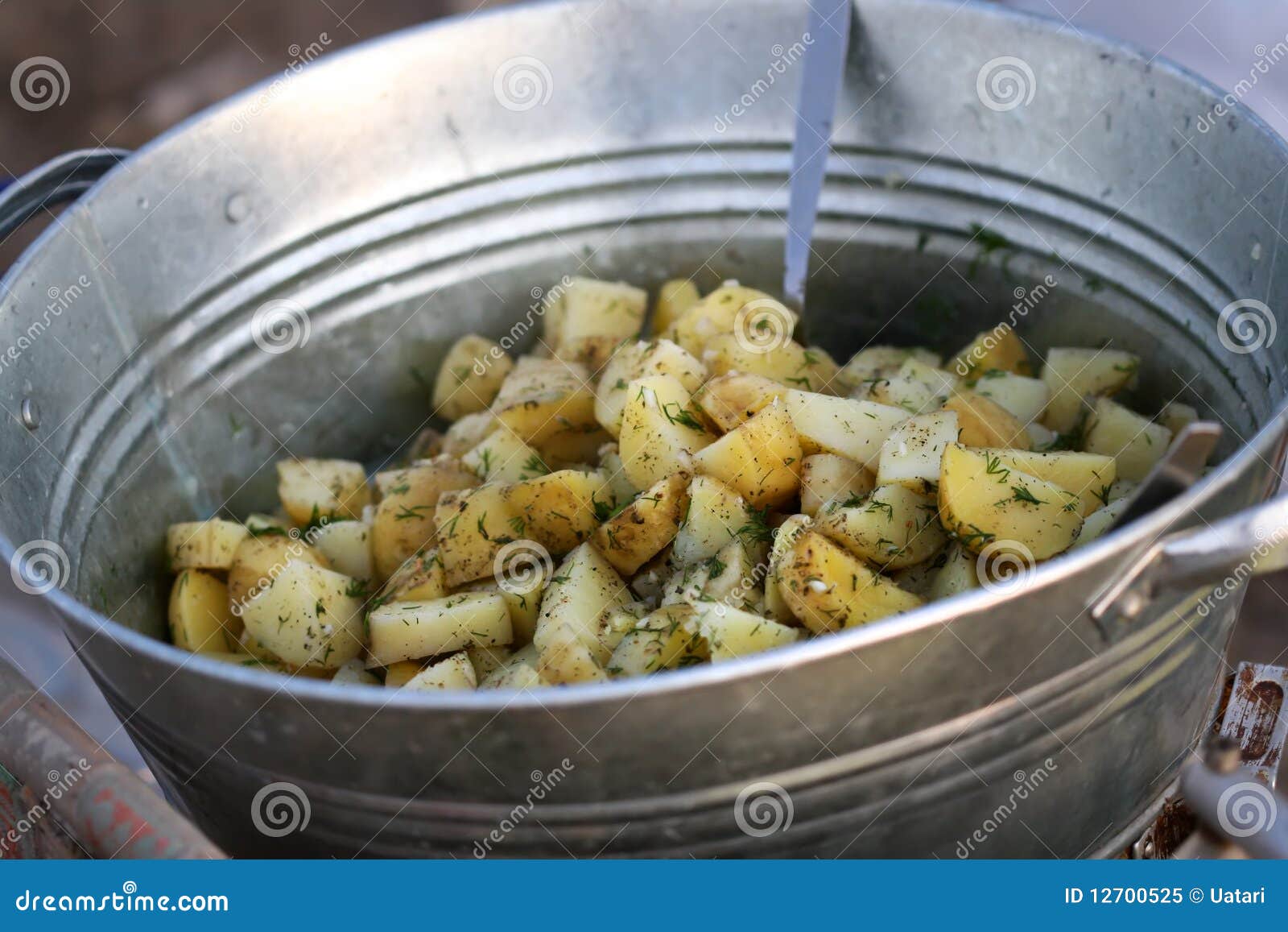 Potato in tin metal basin stock image. Image of bonfire - 12700525