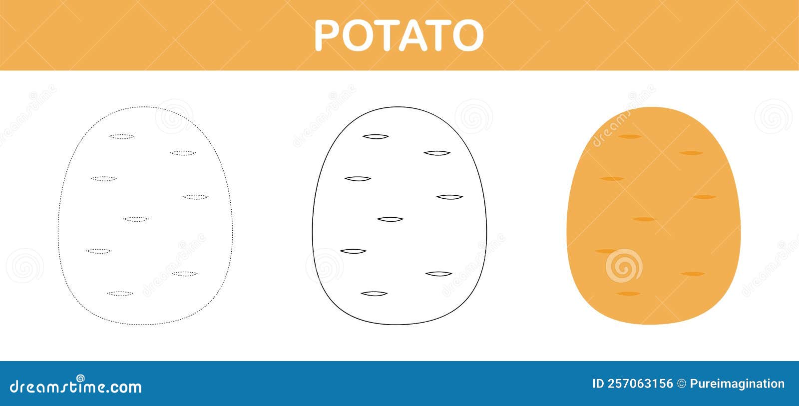 Potato Tracing and Coloring Worksheet for Kids Stock Vector ...