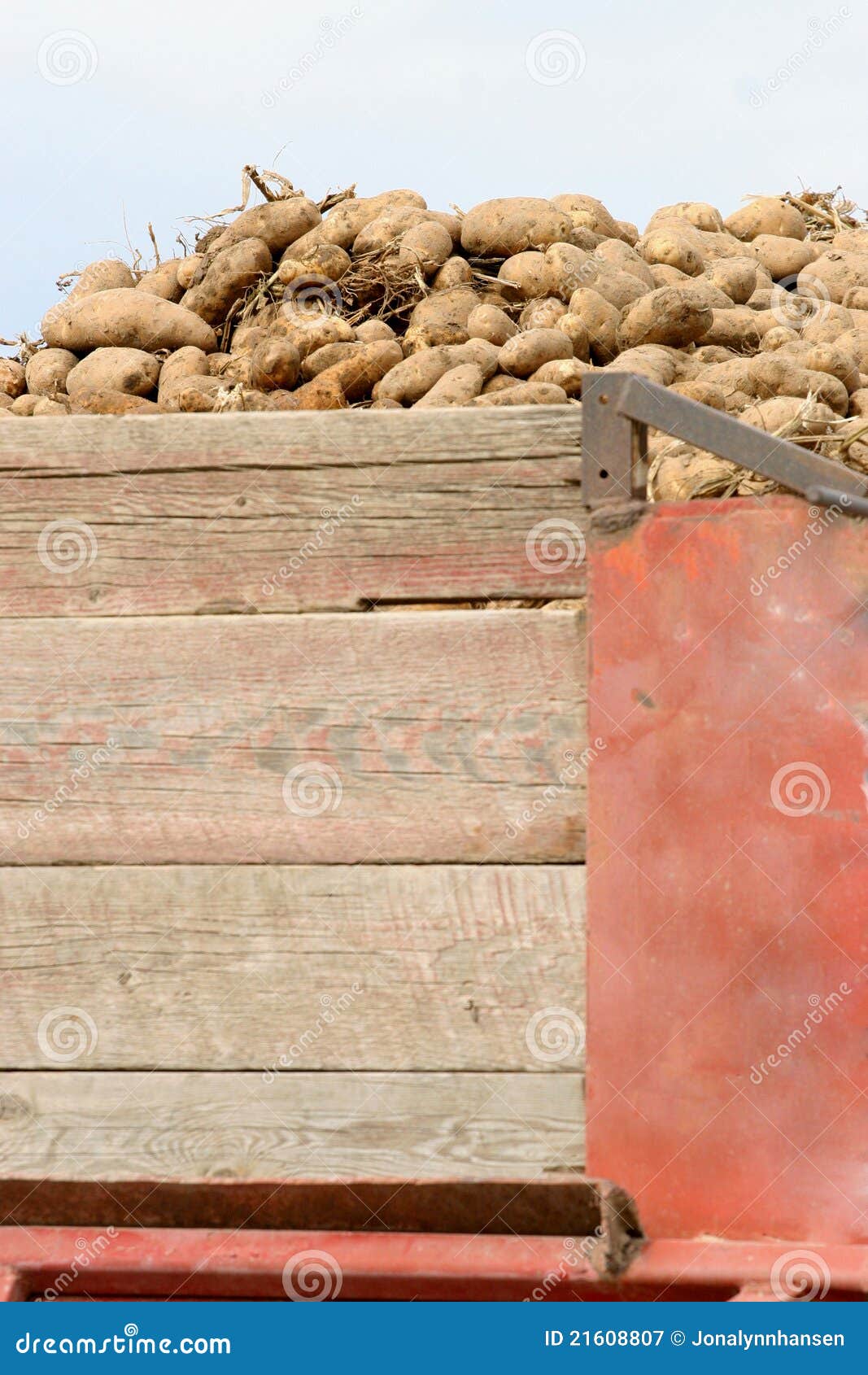 Potato Truck stock image. Image of crops, dirt, farm - 21608807