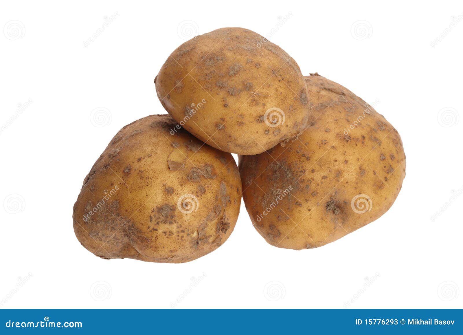 Potato Tuber With Common Scab Diseases Stock Photography ...