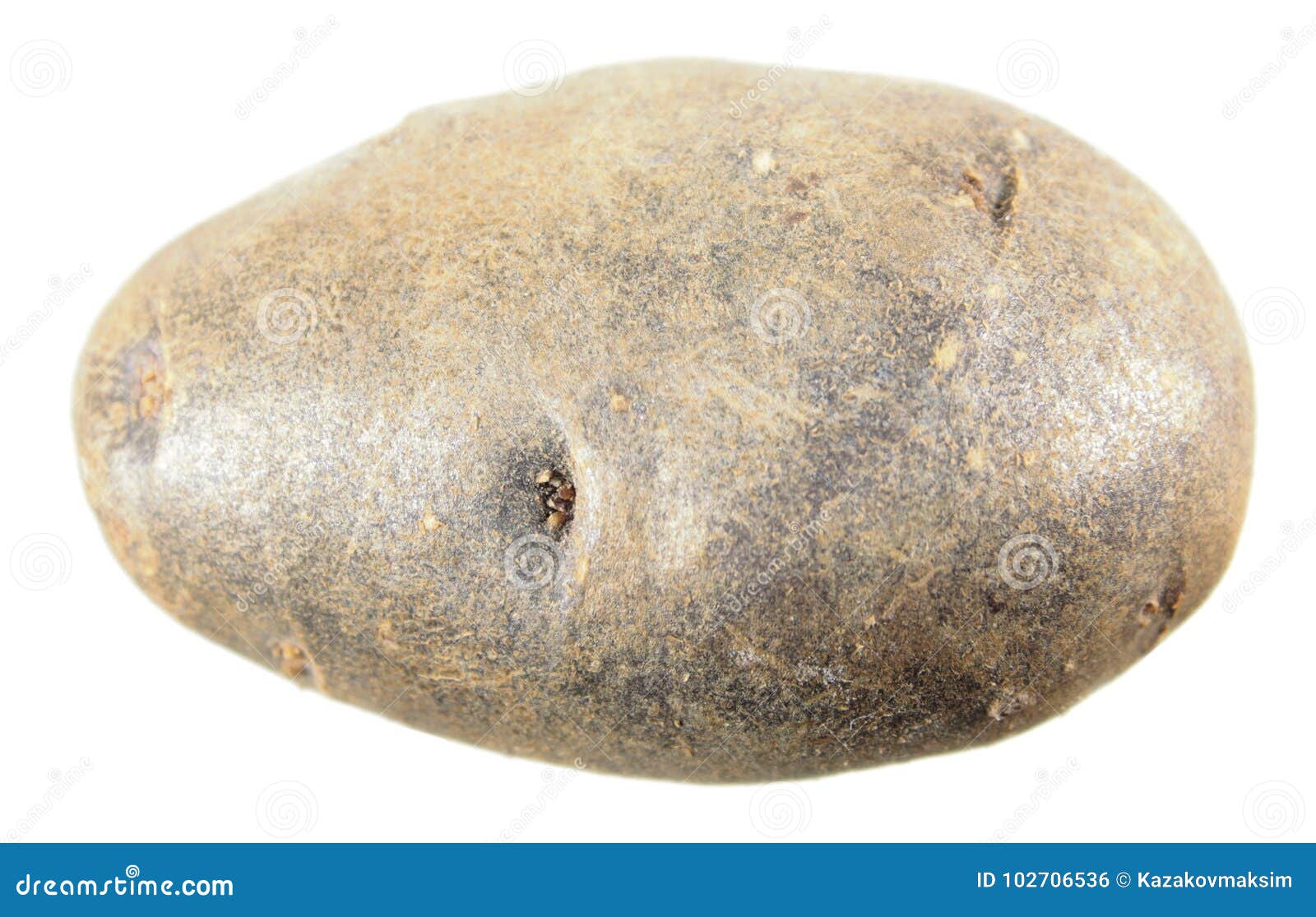 Potato Tuber Isolated on White Stock Photo - Image of food, single ...