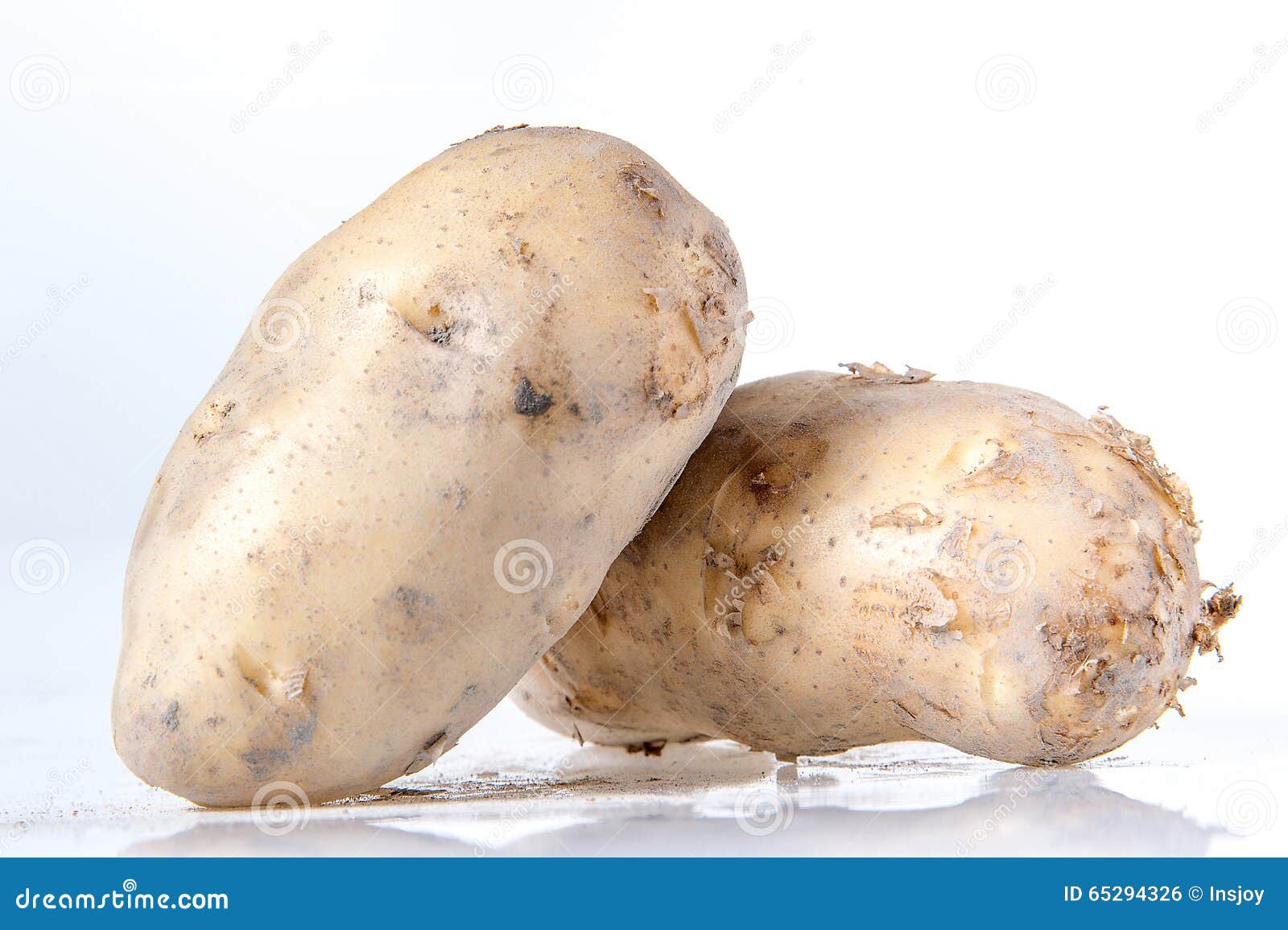 Potato tuber stock photo. Image of closeup, healthy, plant - 65294326