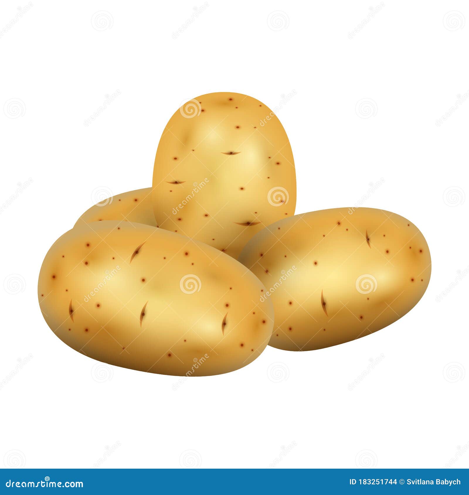 Potato Vector Icon.Realistic Vector Icon Isolated on White Background ...