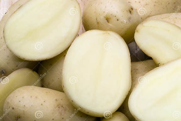 Potato vegetable stock image. Image of supper, food, potatoe - 20907649