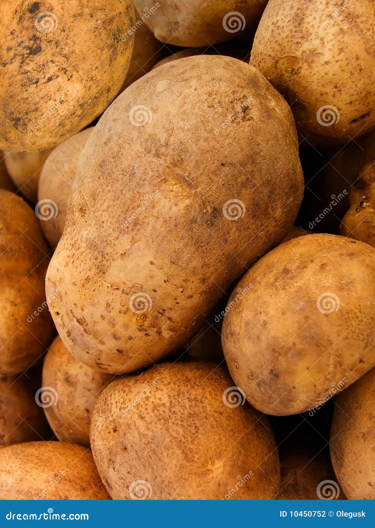 Potato vegetables meal stock photo. Image of close, background - 10450752