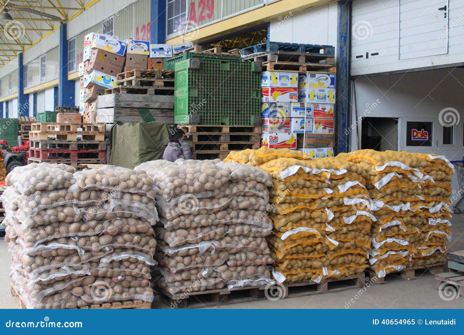 Potato warehouse editorial image. Image of industries - 40654965