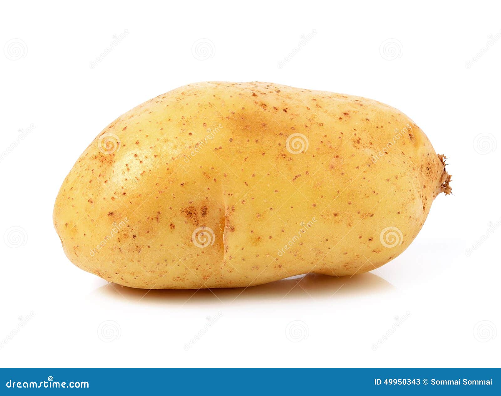 Potato on white background stock image. Image of food - 49950343