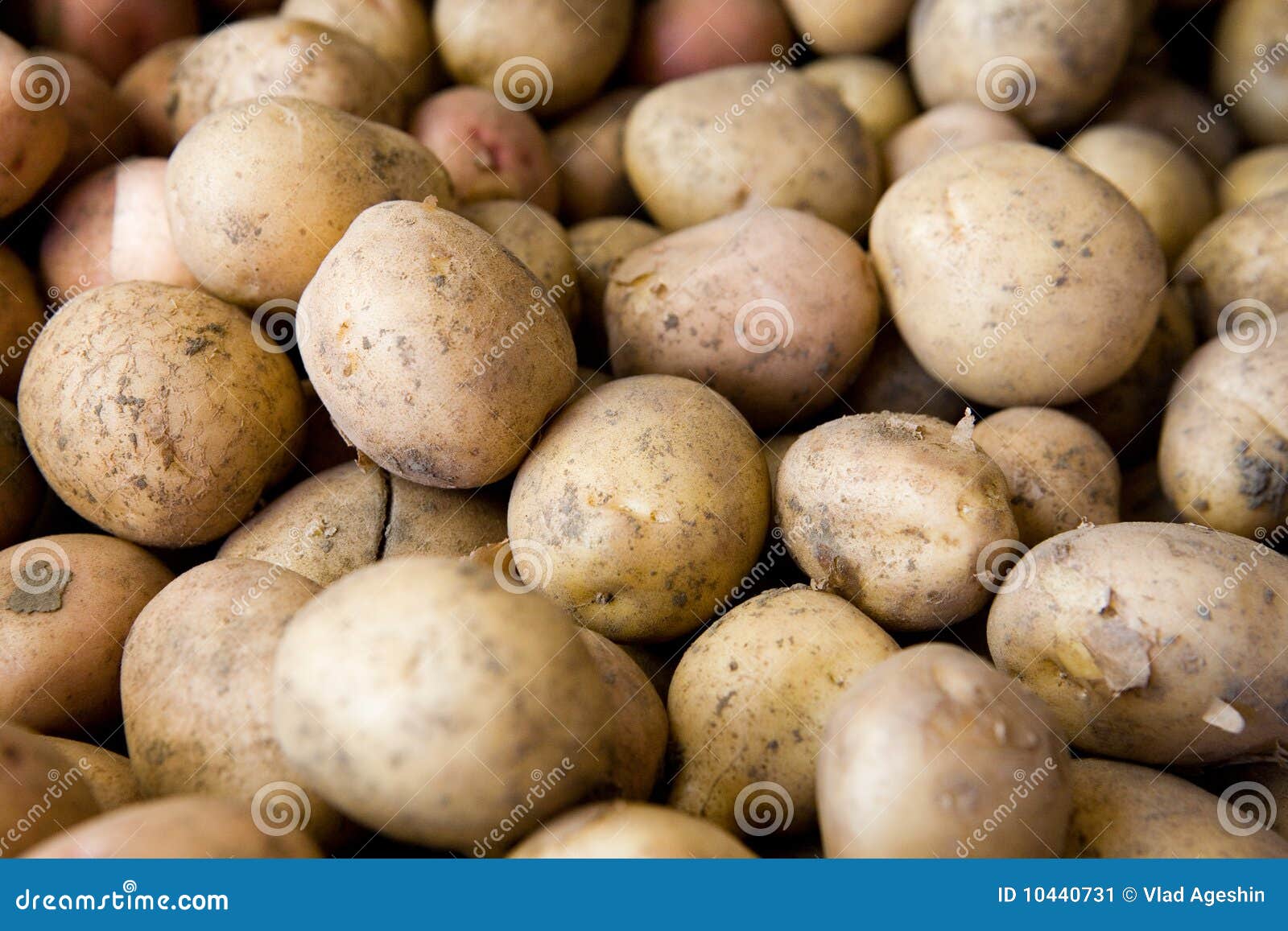 Potatoes stock image. Image of full, shot, vegetarian - 10440731