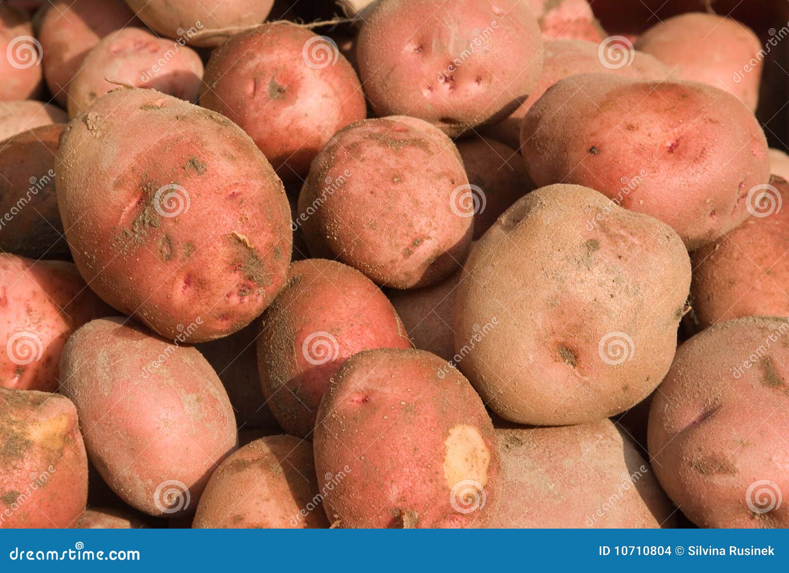 Potatoes stock photo. Image of ingredients, diet, nature - 10710804