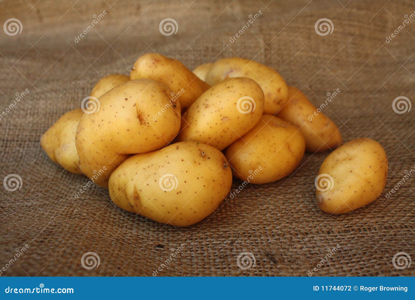 Potatoes stock photo. Image of potatoes, cooking, agriculture - 11744072