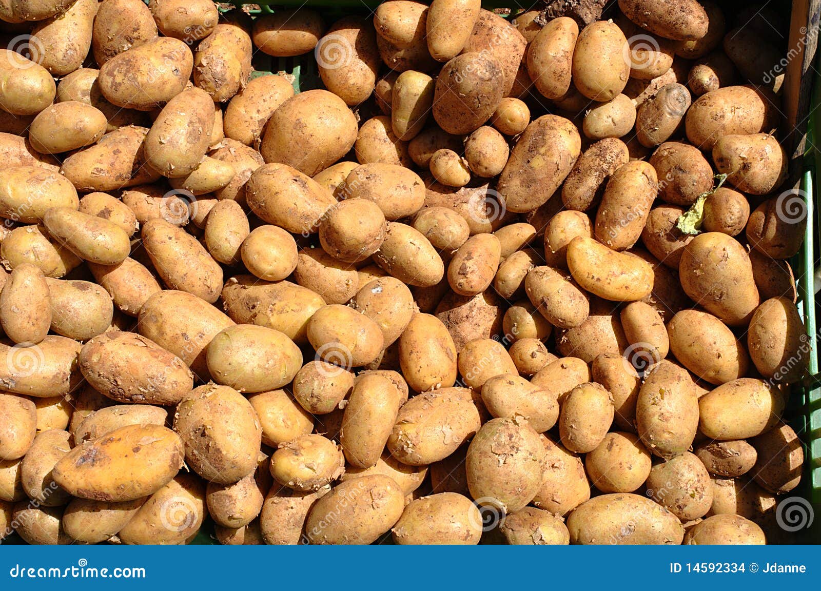 Potatoes stock photo. Image of gourmet, jdanne, pile - 14592334