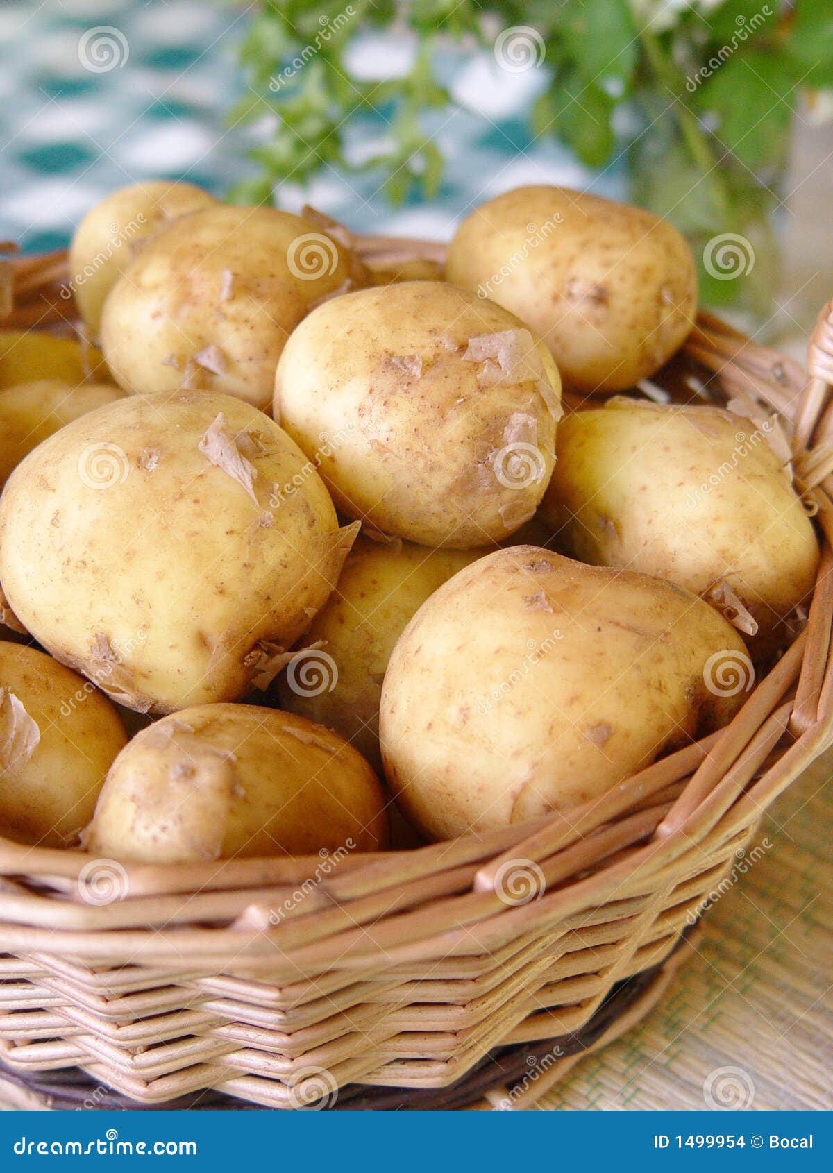 Potatoes stock photo. Image of basket, growing, lunch - 1499954