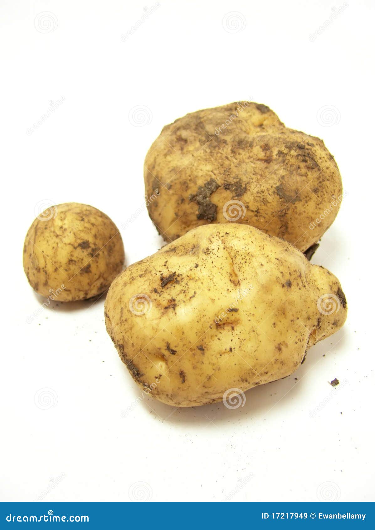 300 Unwashed Potatoes White Background Stock Photos - Free & Royalty ...