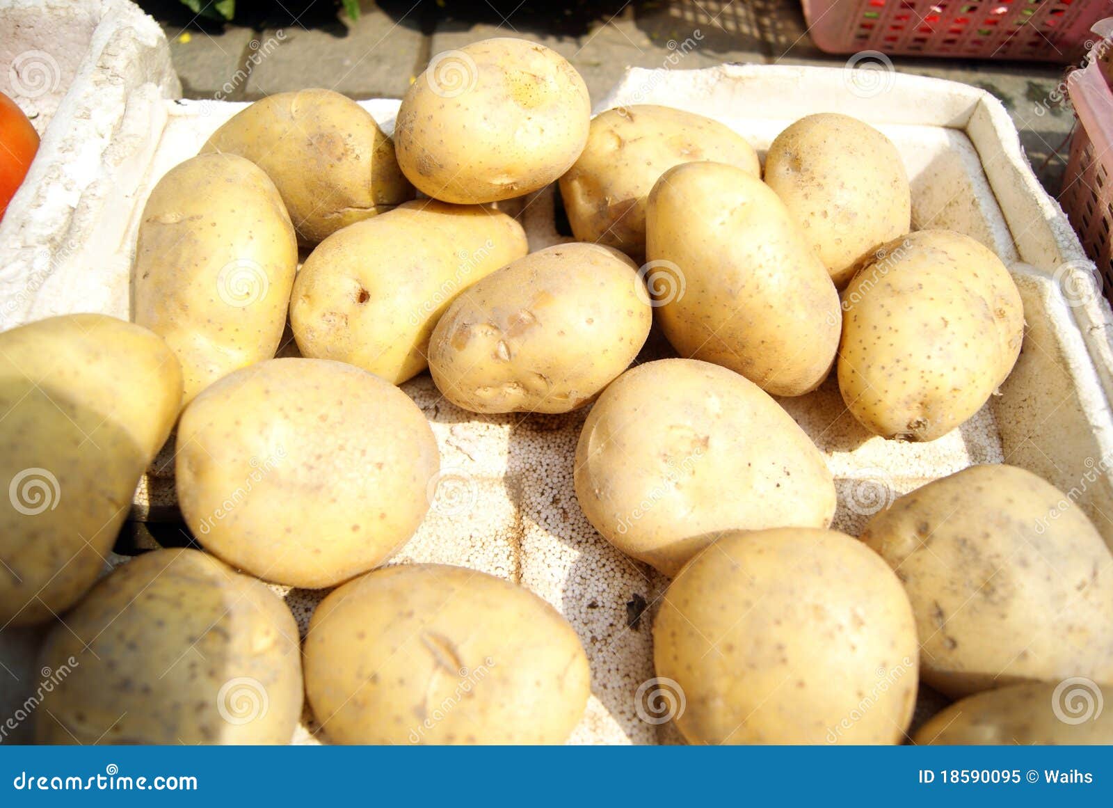 Potatoes stock image. Image of roots, vegetables, walking - 18590095
