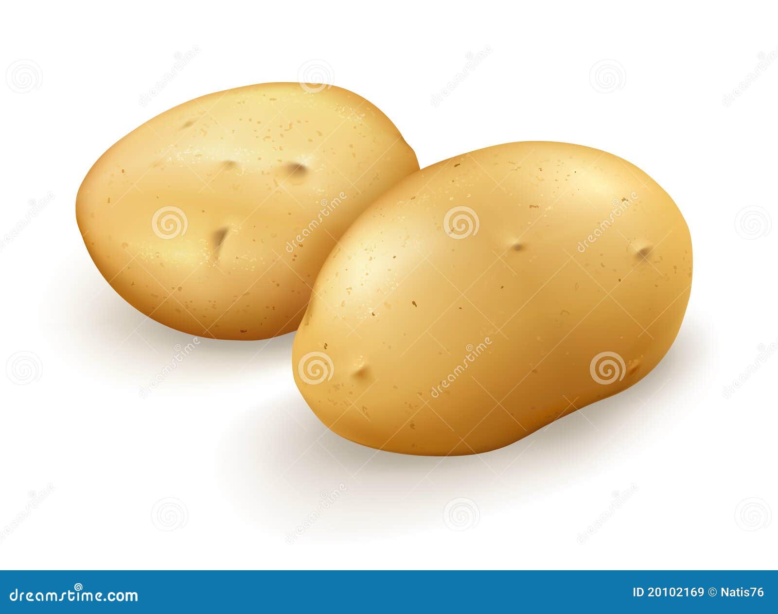 Potatoes stock vector. Illustration of ingredient, healthy - 20102169