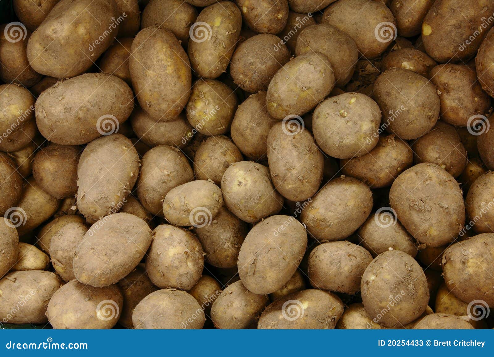 Potatoes stock image. Image of lots, vegetable, potato - 20254433