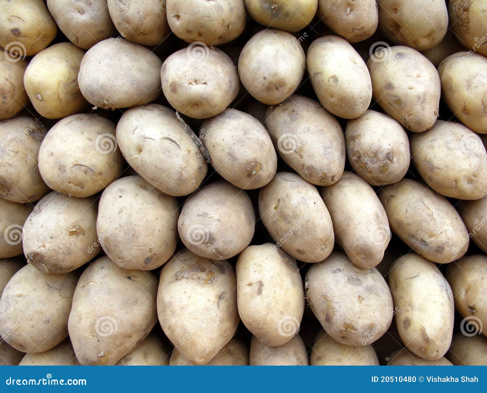 Potatoes stock photo. Image of ingredients, stack, uncooked - 20510480