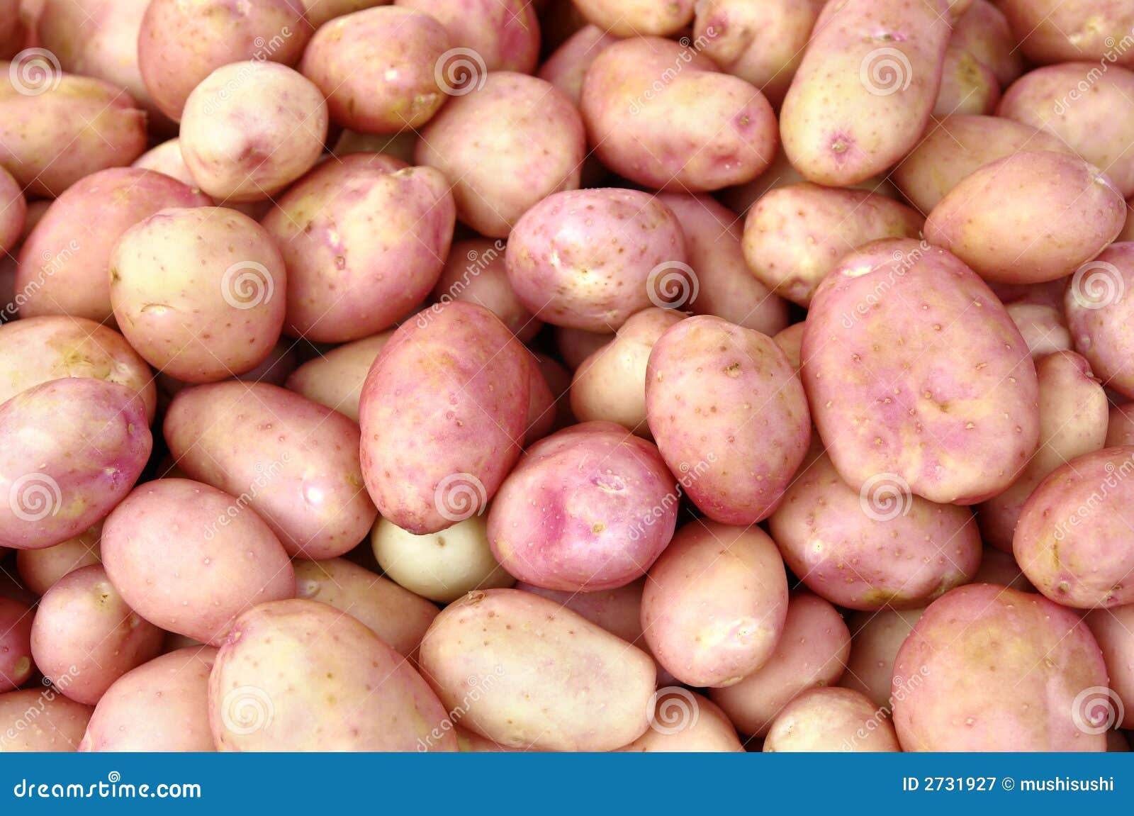 Potatoes stock image. Image of healthy, oragnic, salad - 2731927