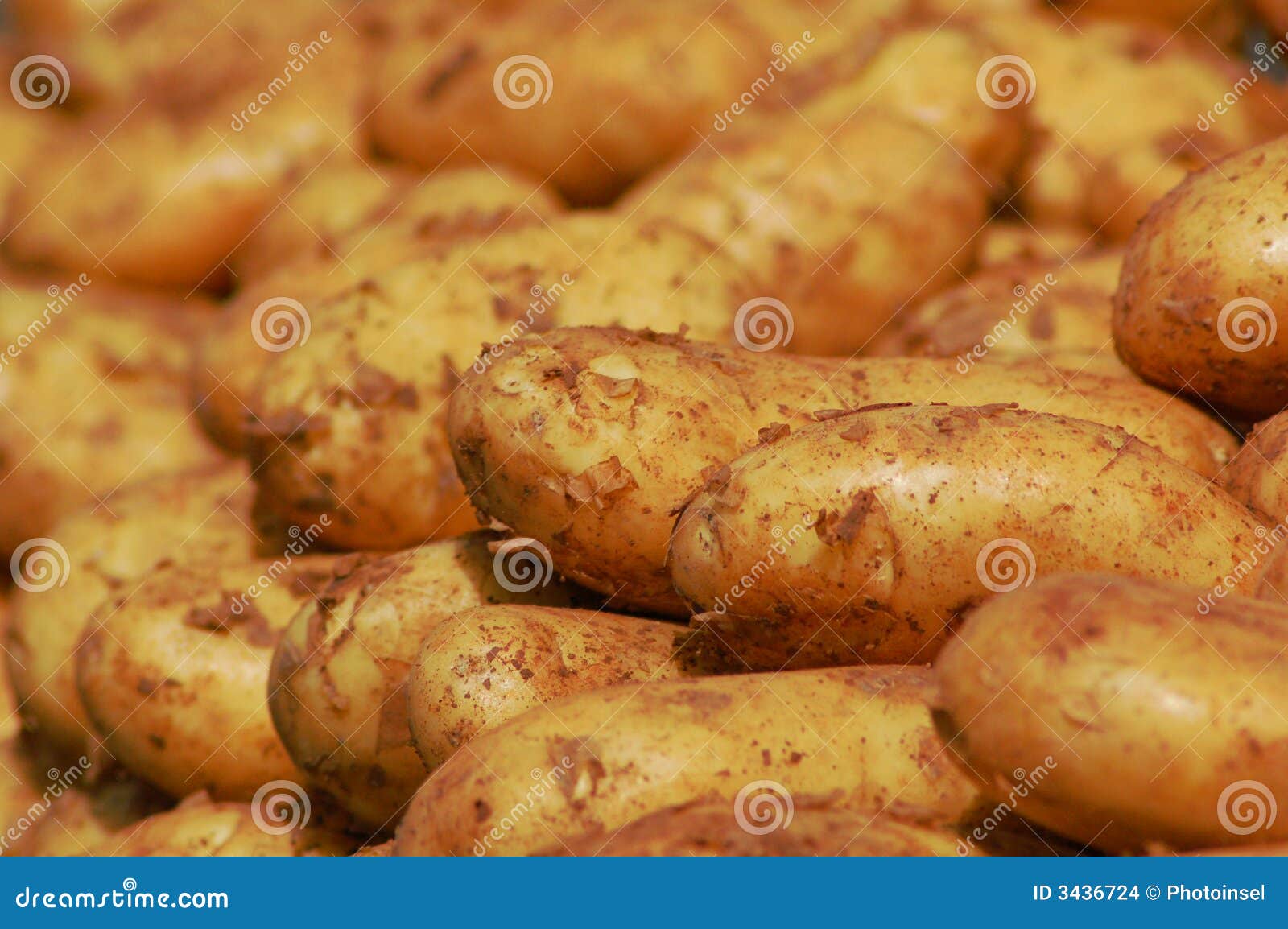 Potatoes stock photo. Image of detail, texture, closeup - 3436724