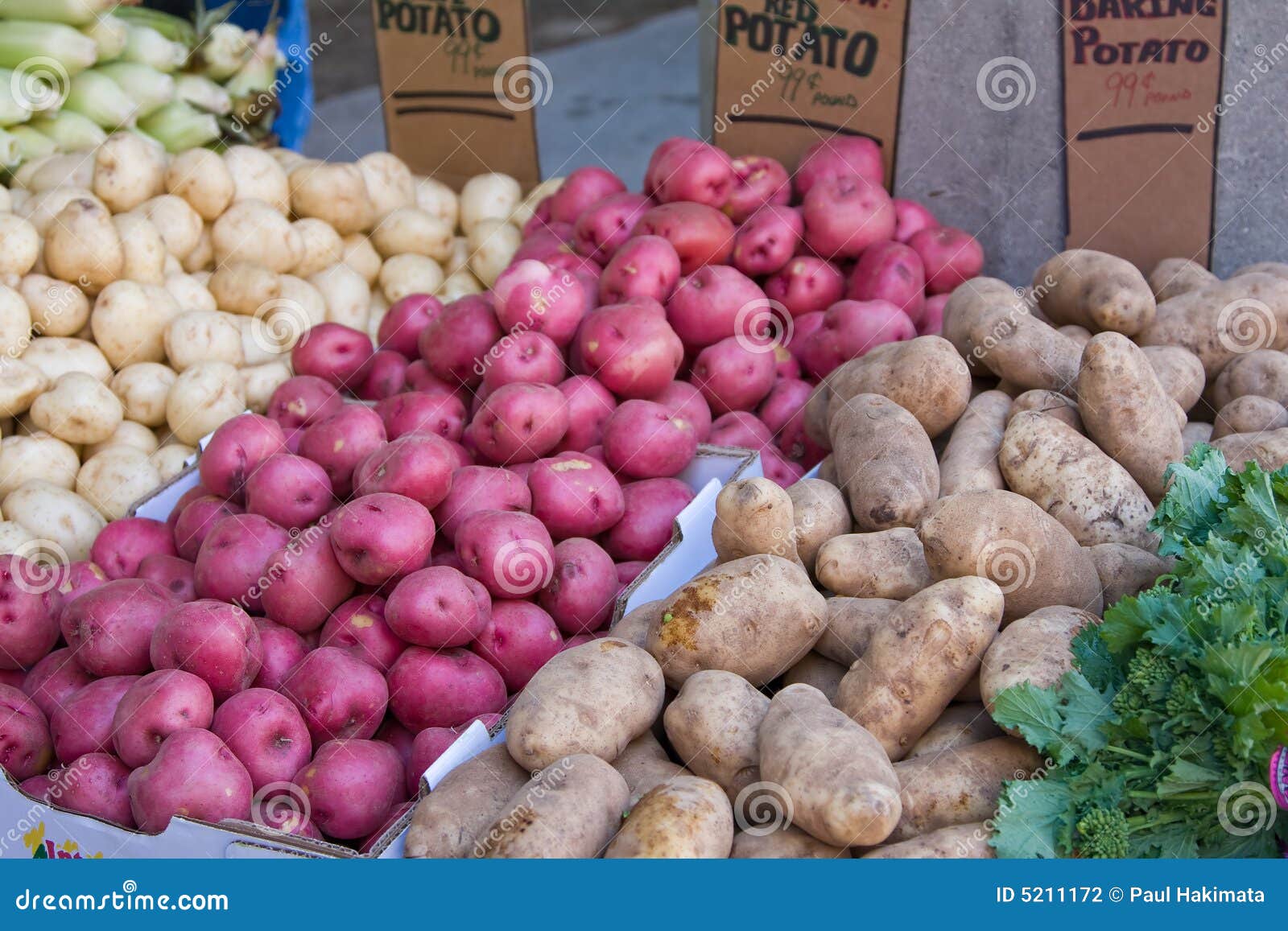 Potatoes stock photo. Image of health, idaho, market, produce - 5211172
