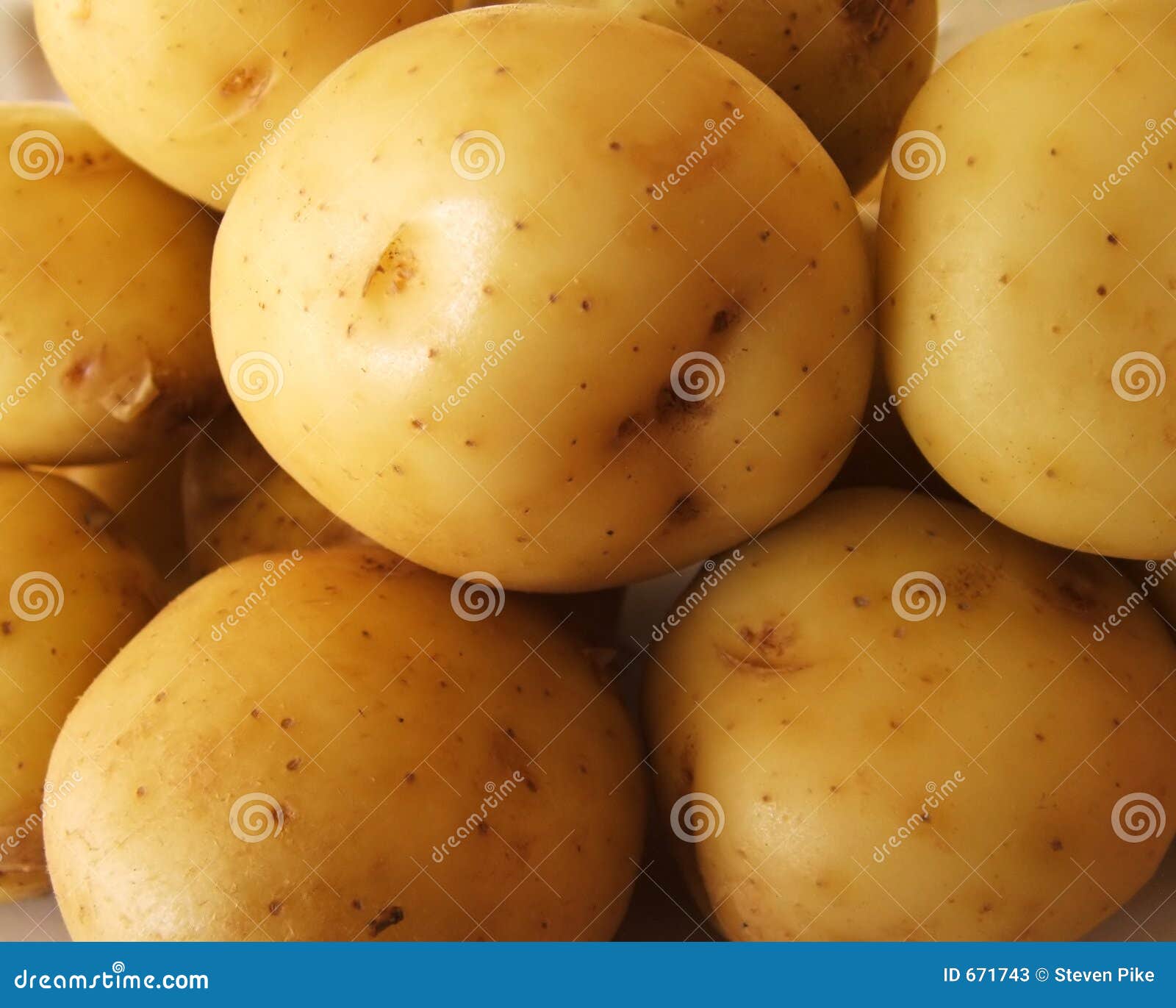 Potatoes stock image. Image of vegetables, food, potato - 671743