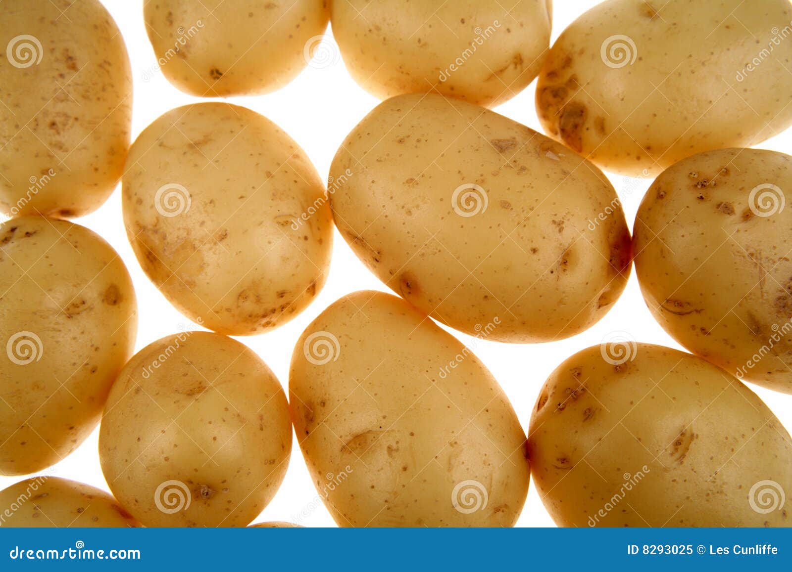 Potatoes stock image. Image of potatoes, inside, closeup - 8293025