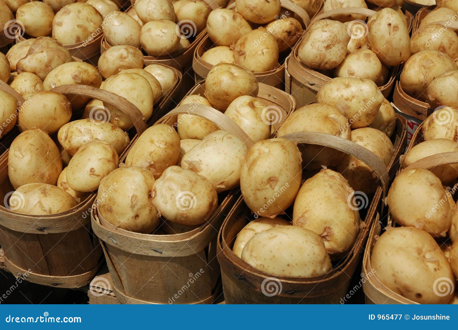 Potatoes stock image. Image of bright, potatoe, farmers - 965477