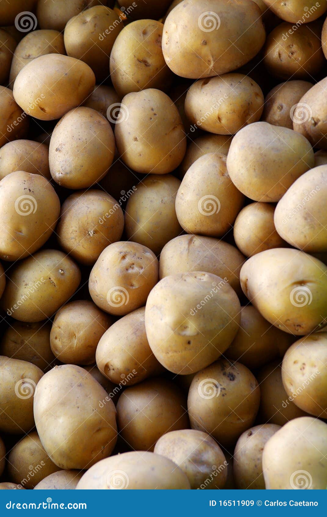 Potatoes background stock image. Image of culinary, ingredient - 16511909