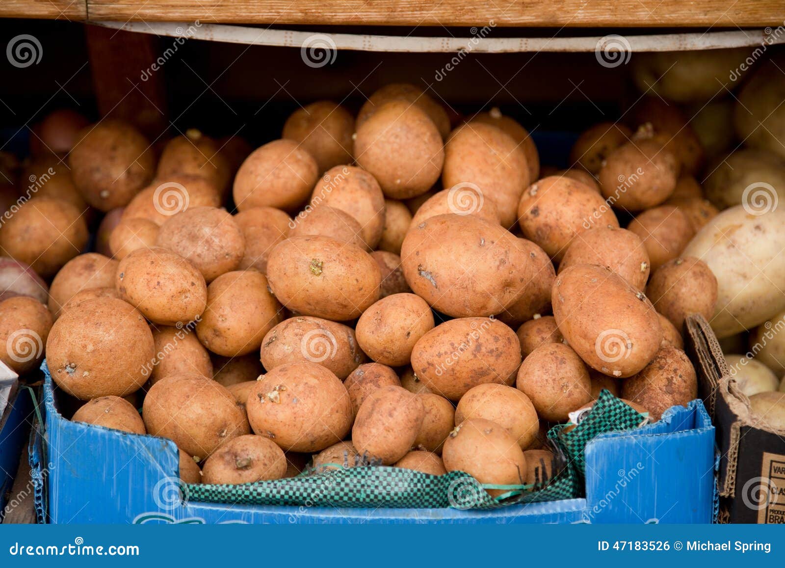Potatoes stock photo. Image of delicious, cooking, eating - 47183526