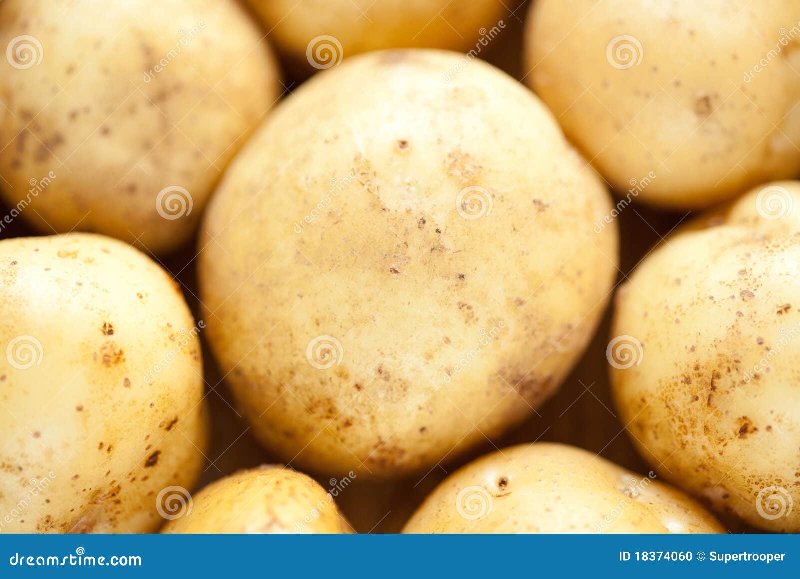 Potatoes close-up stock photo. Image of grounds, ground - 18374060