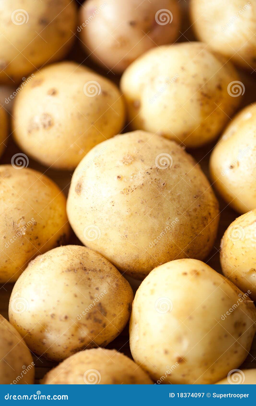 Potatoes close-up stock image. Image of object, pleasure - 18374097