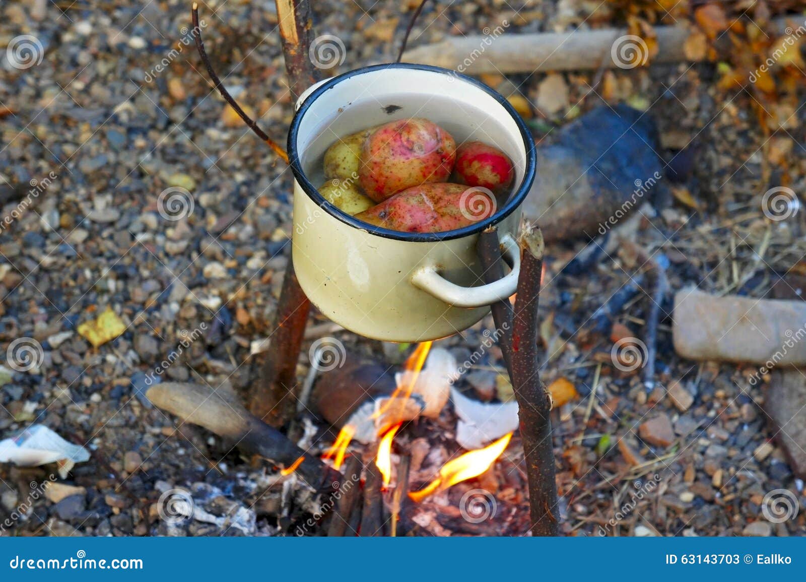 Potatoes Cooked in a Pot on the Fire Stock Image - Image of firewood ...