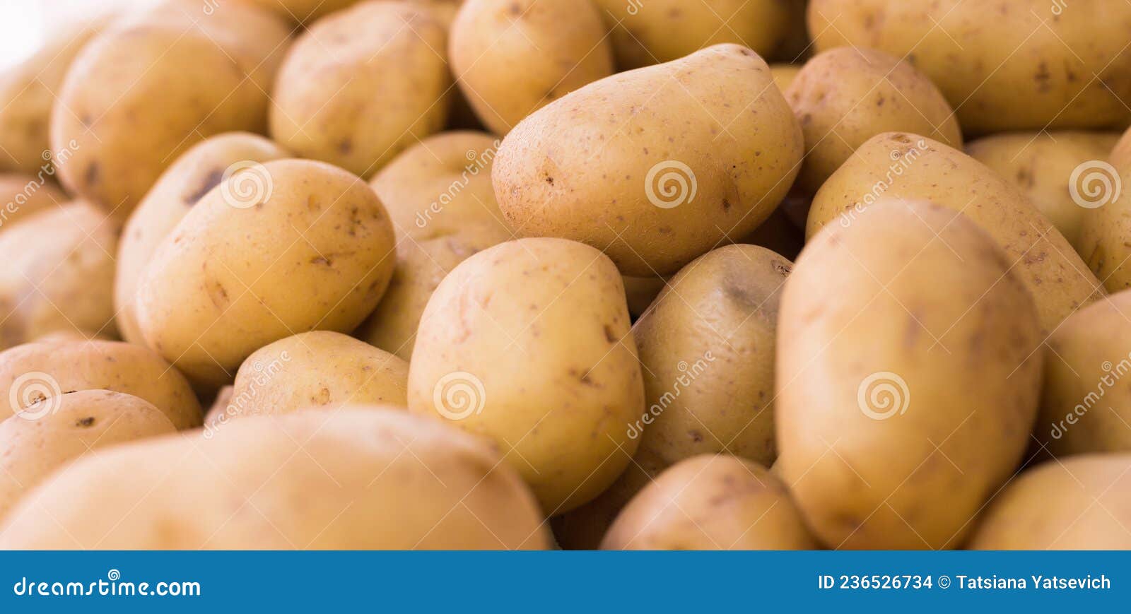 Potatoes on Counter in Market Stock Photo - Image of plant, harvest ...