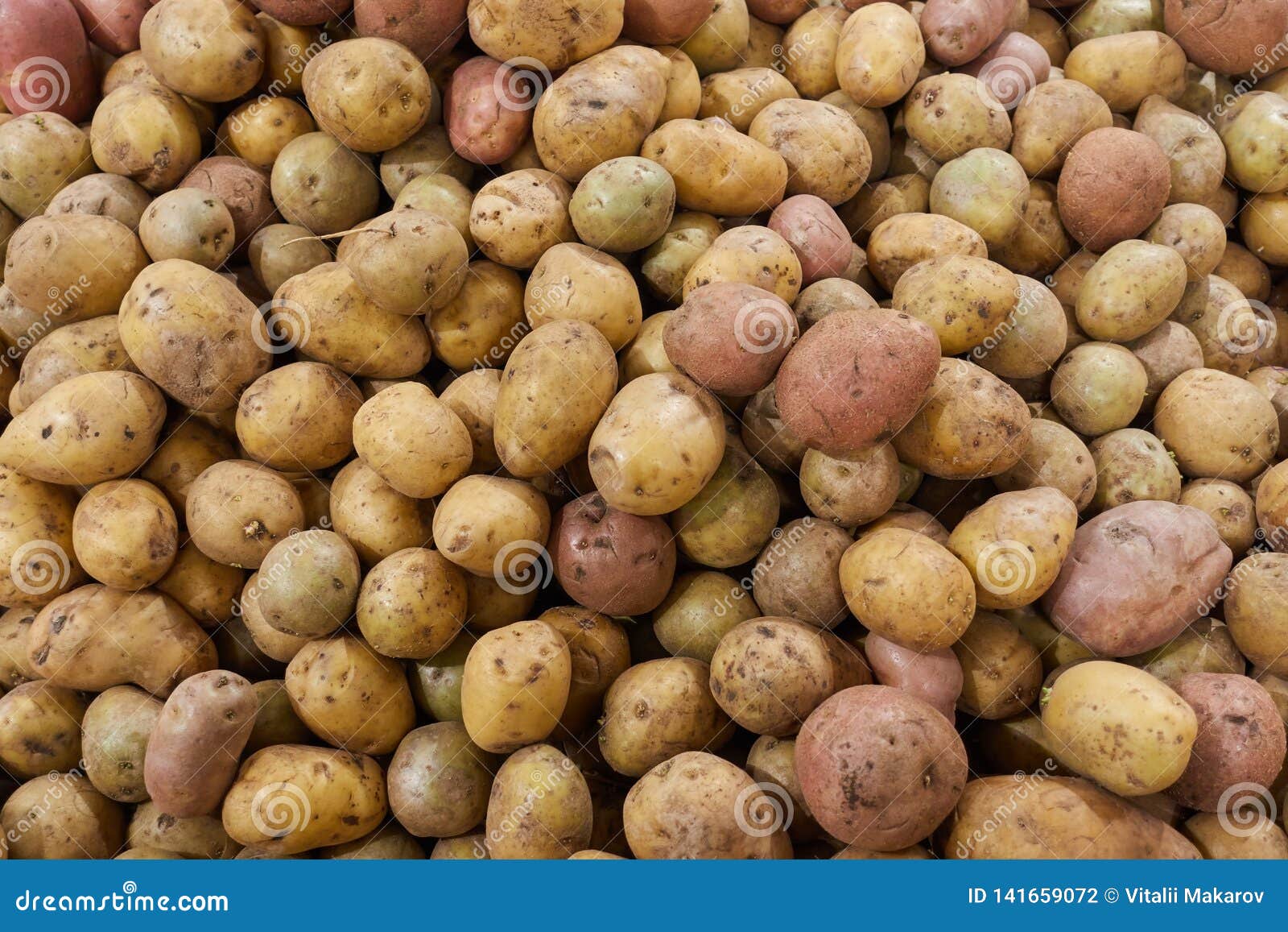 The Potatoes on the Counter of the Store Stock Photo - Image of ...