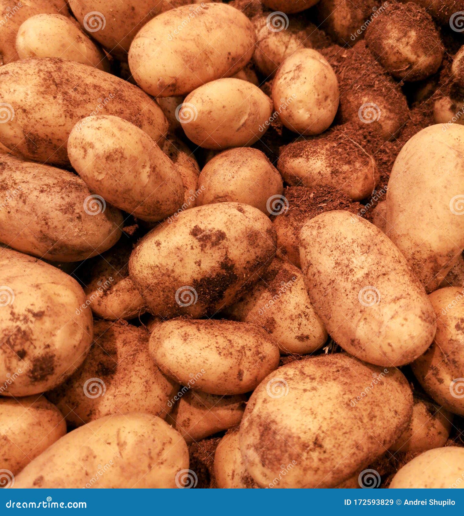 Potatoes on the Counter in the Store Stock Image - Image of potatoes ...