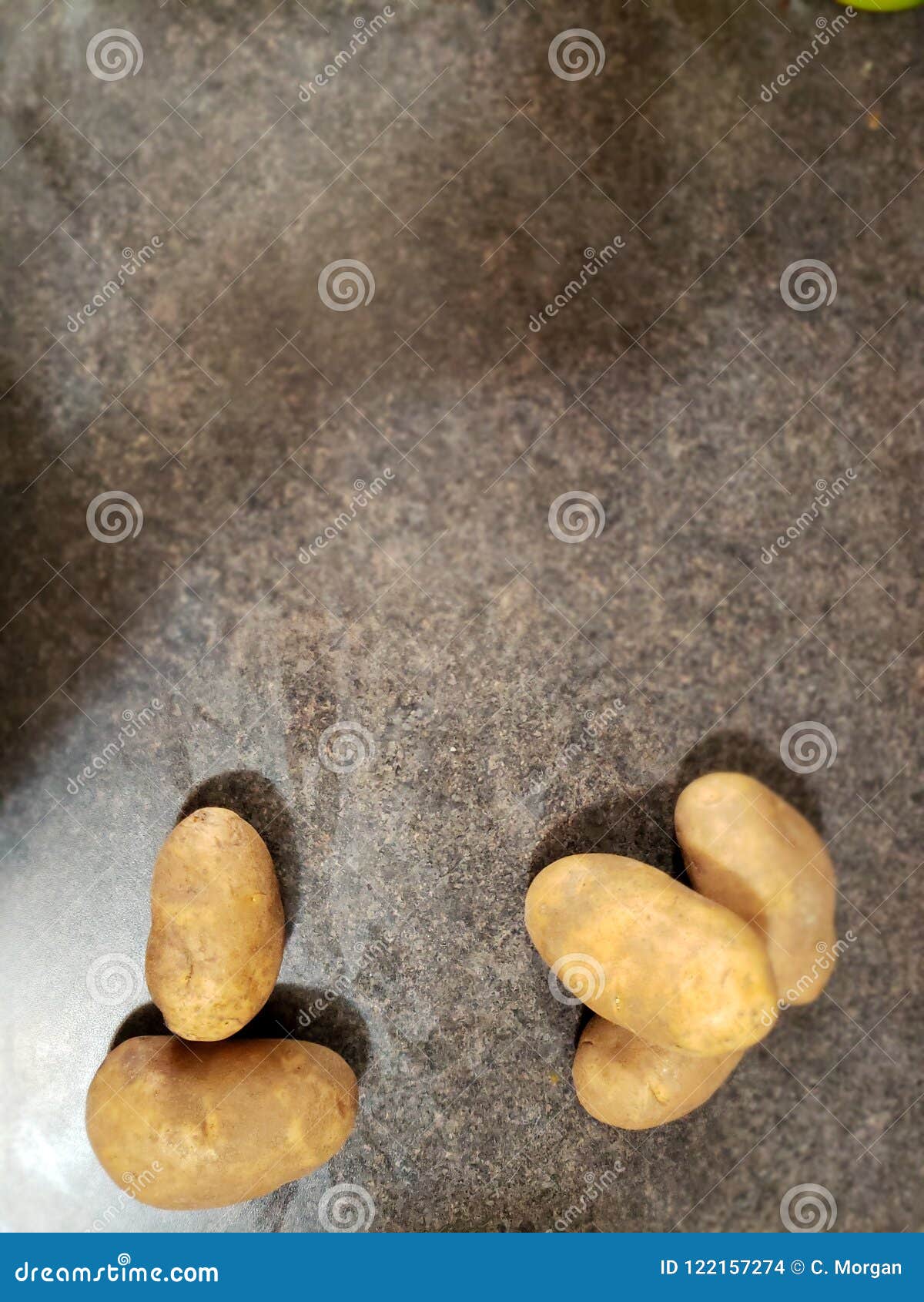 Potatoes on a countertop stock photo. Image of counter - 122157274