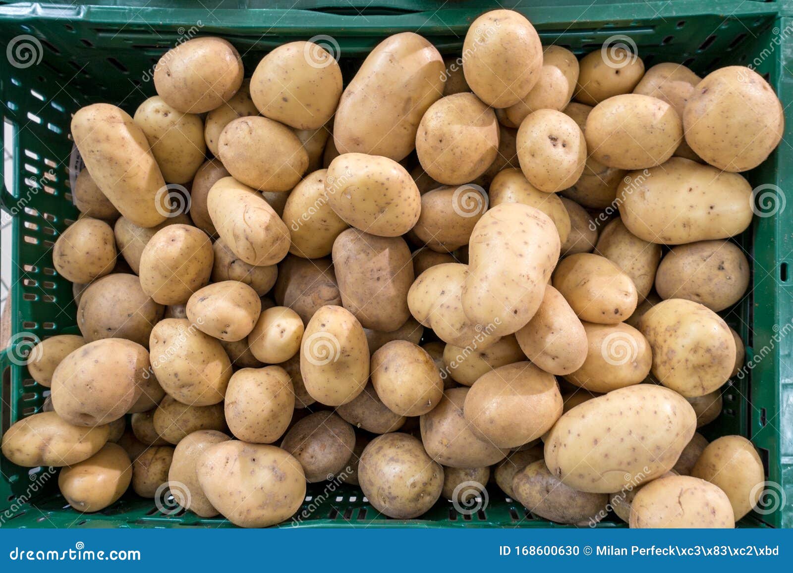 Zemiak Stock Photos - Free & Royalty-Free Stock Photos from Dreamstime