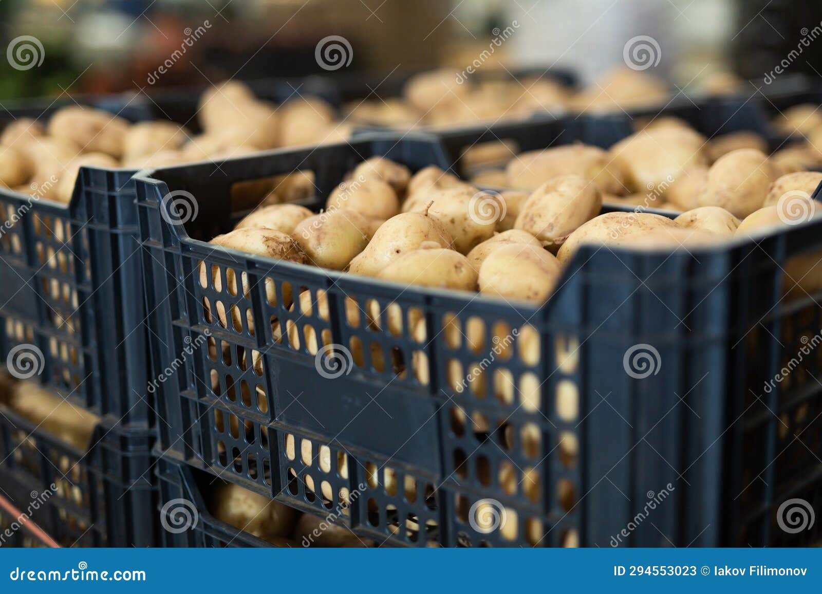 Potatoes in Crates Stacked in Vegetable Warehouse Stock Image - Image ...