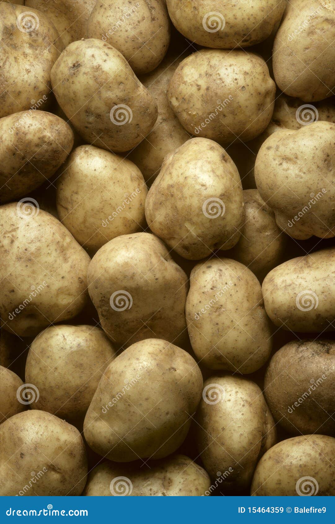 Potatoes filling frame stock image. Image of farms, harvest - 15464359
