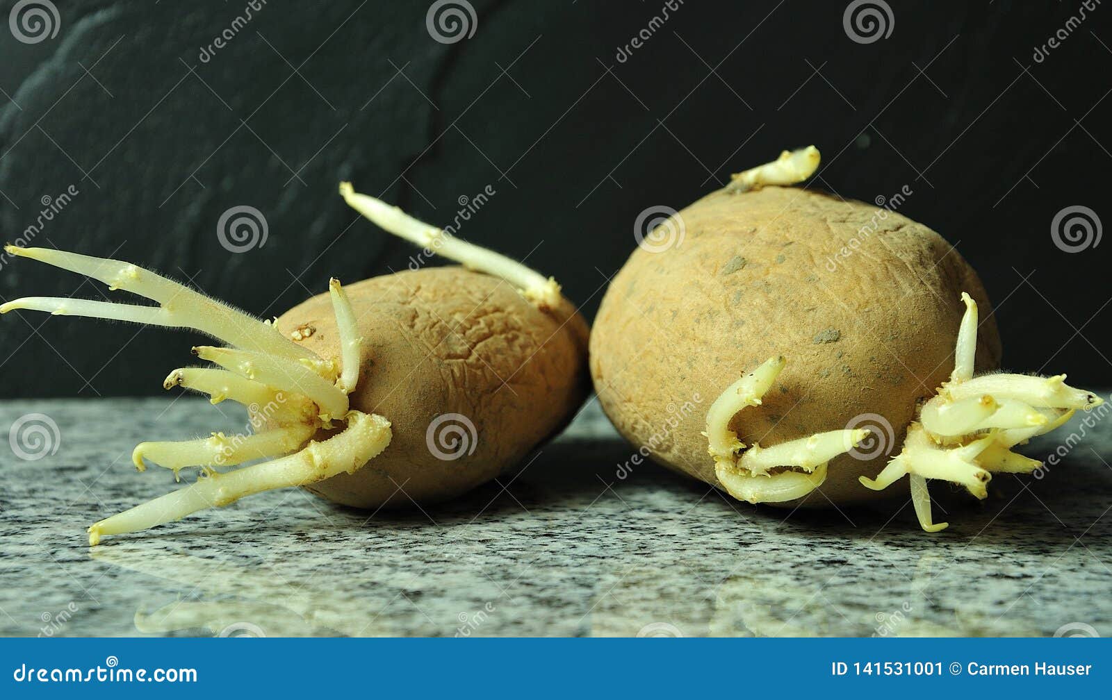 Sprouting Potatoes on Kitchen Workplate Stock Image - Image of shoot ...
