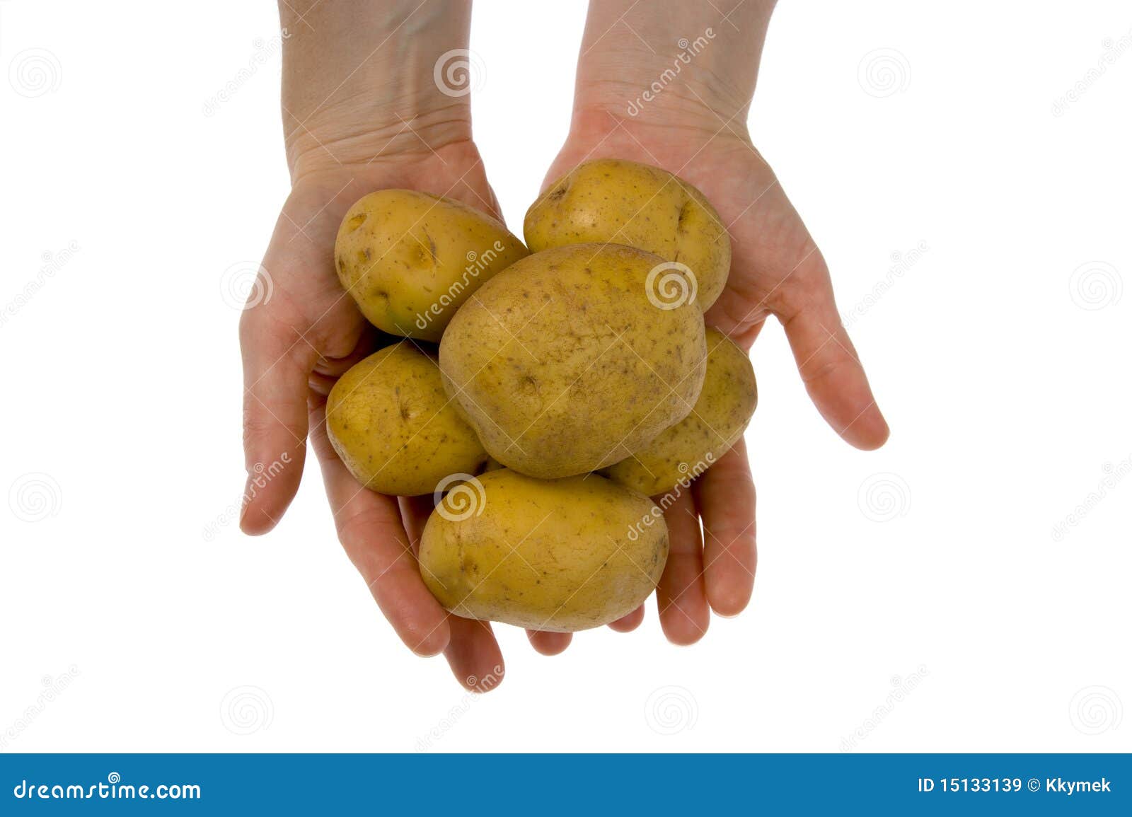 Potatoes in hand isolated stock image. Image of colour - 15133139