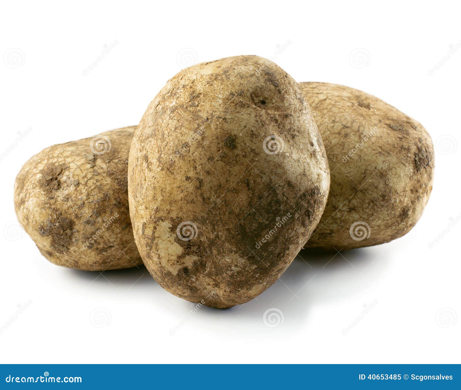 Potatoes isolated stock image. Image of close, tuber - 40653485