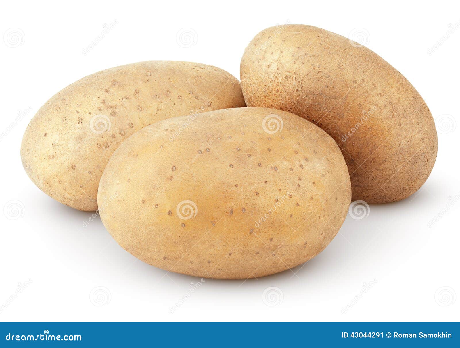 Potatoes isolated on white stock image. Image of healthy - 43044291