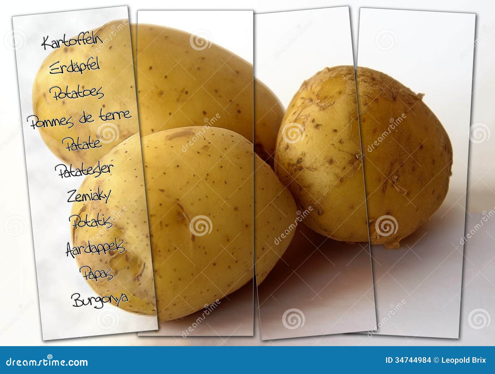 Potatoes with Multilingual Labeling Stock Photo - Image of labeling ...