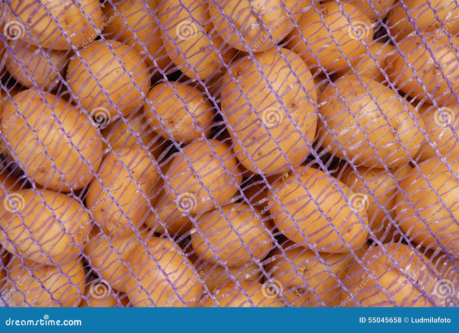 Potatoes in net packing stock photo. Image of root, plastic - 55045658