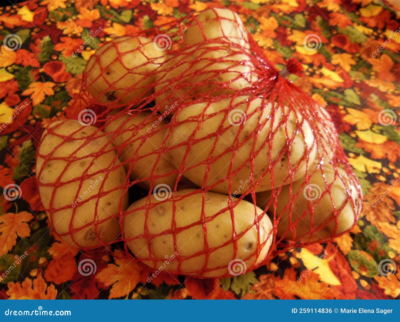 Potatoes in a Red Net stock photo. Image of potatoes - 259114836