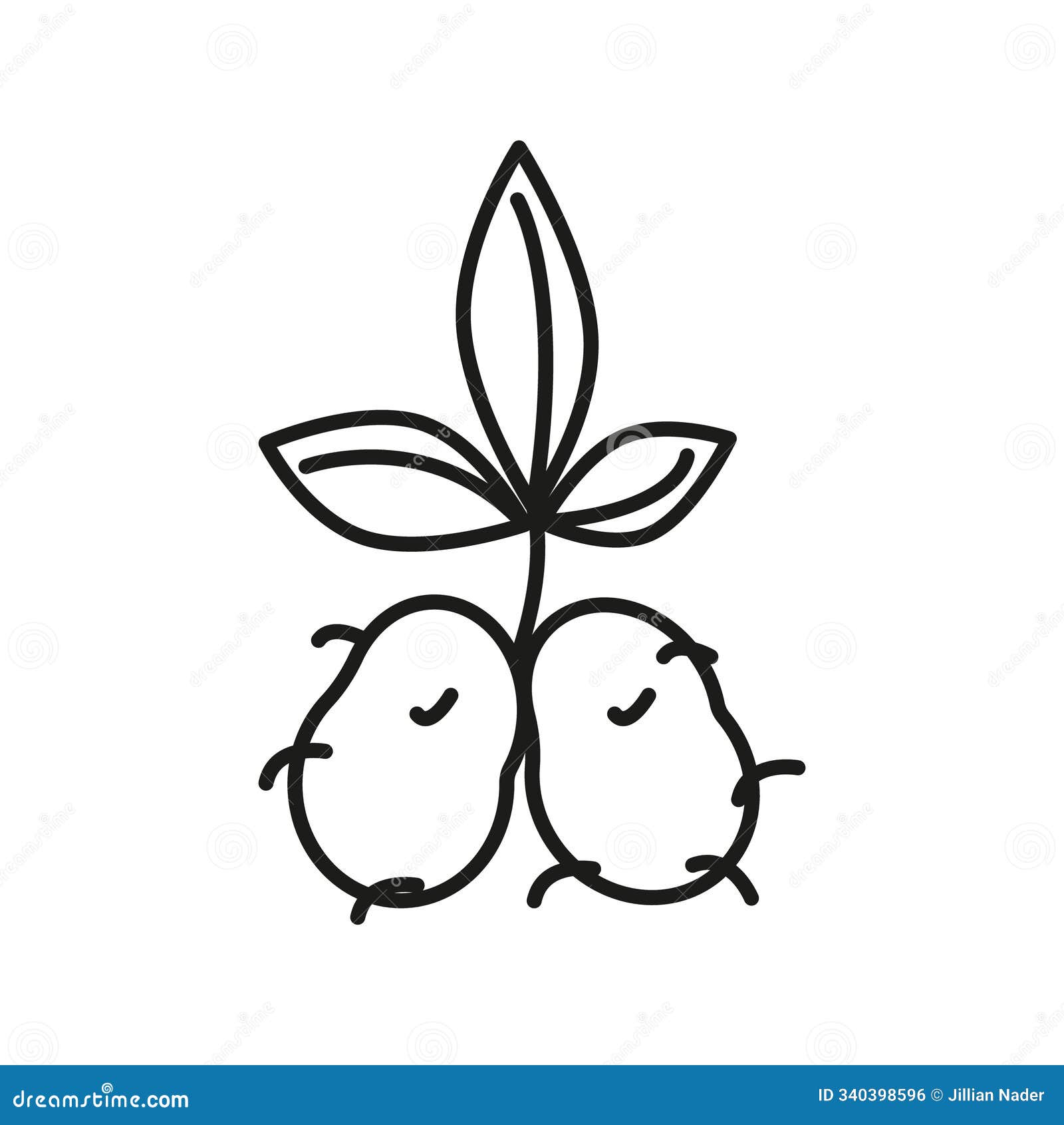 Potatoes Plant Icon Flat Line Symbol Set Stock Illustration ...