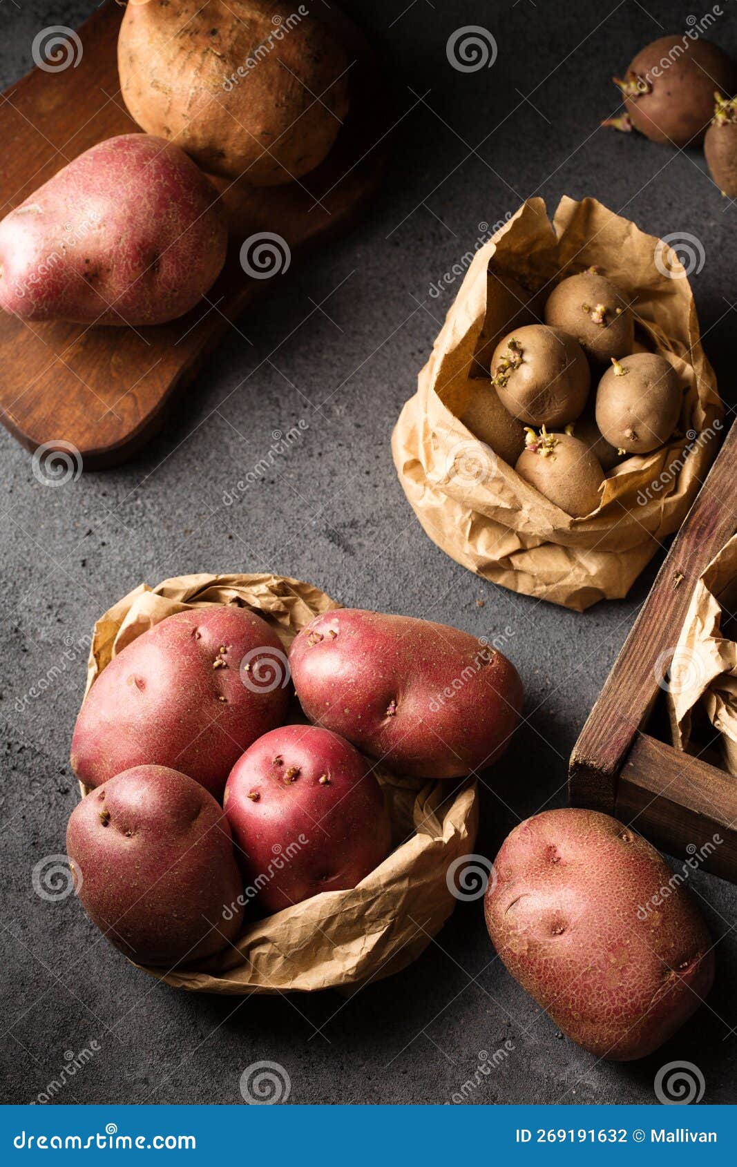 Potatoes for Planting in the Ground Stock Photo - Image of food, plant ...