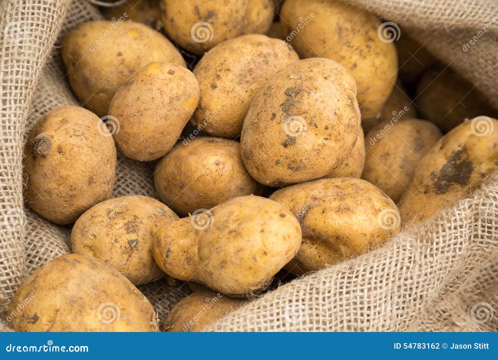 Potatoes in Sack stock photo. Image of fabric, open, burlap - 54783162